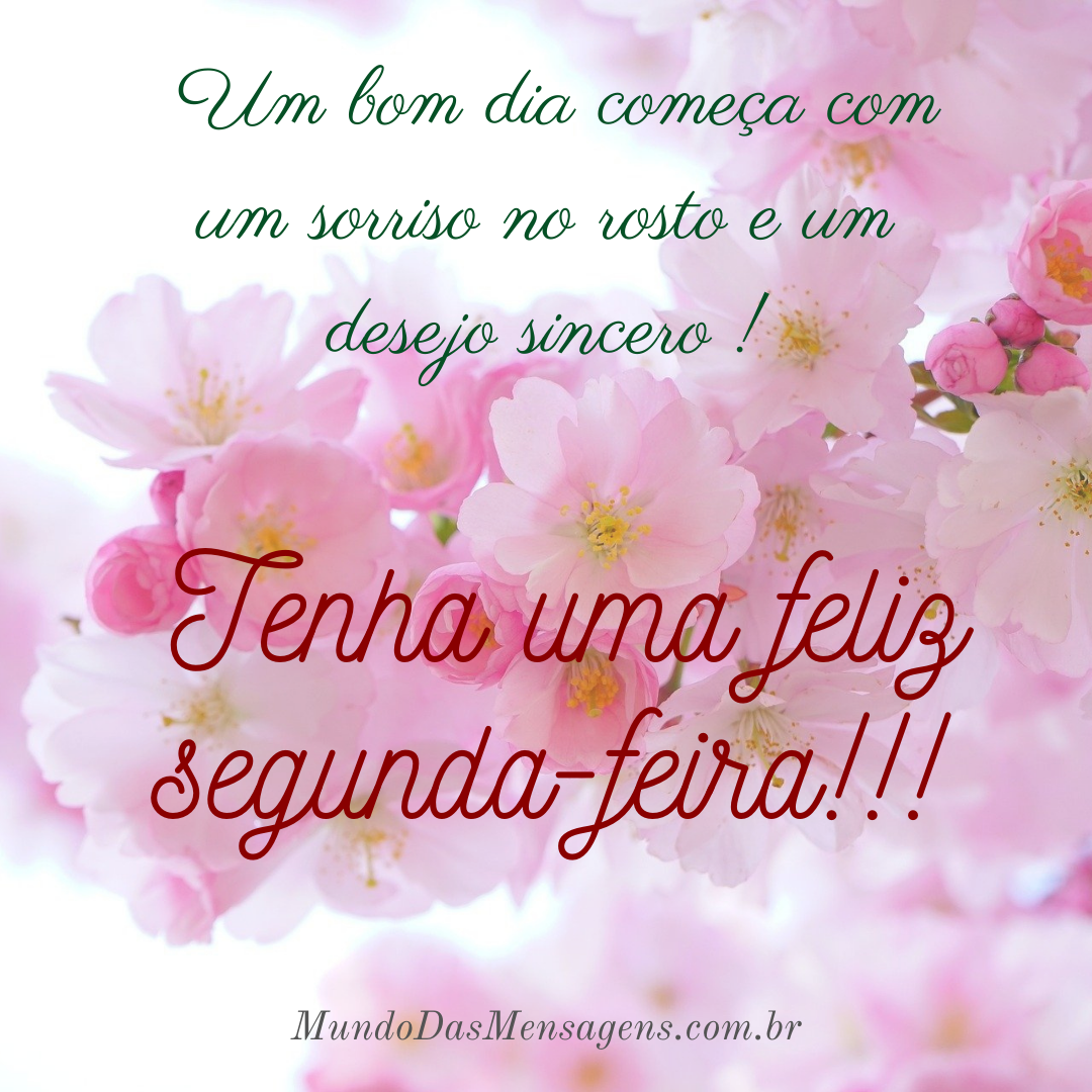 Tenha Uma Feliz Segunda Feira Imagens Imagens De Feliz Segunda Feira